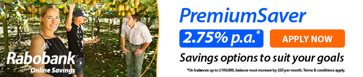 Bonus savings accounts | interest.co.nz