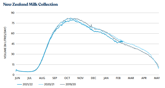 NZ milk production | interest.co.nz