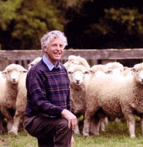 Sheep bred tough to perform | interest.co.nz