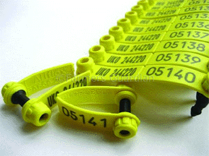 Get over it and into NAIT | interest.co.nz