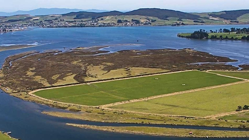 Thriving in Southland's Aparima River catchment | interest.co.nz