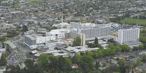 DHB operating results | interest.co.nz