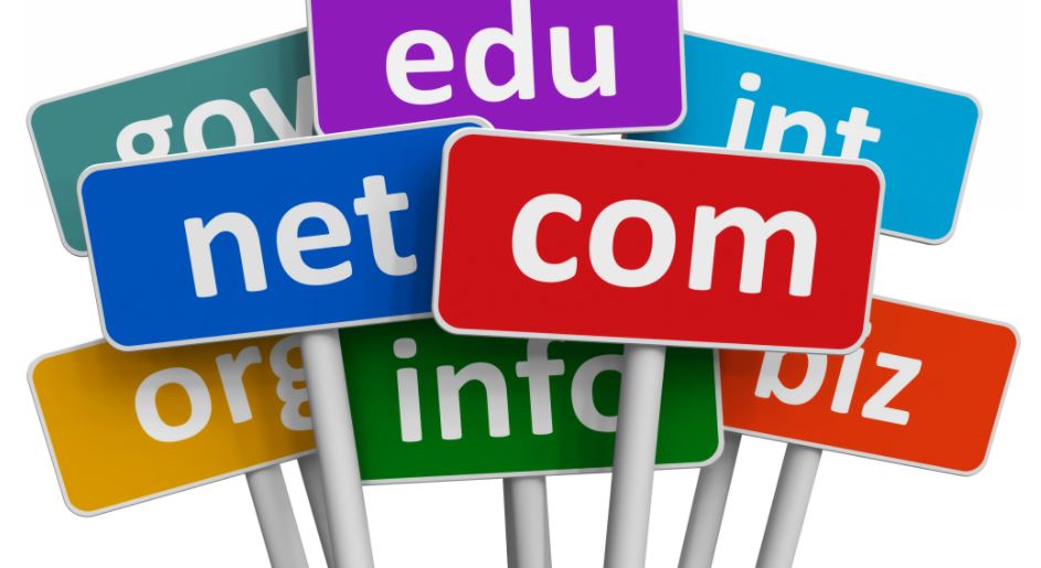 Domain Names | interest.co.nz