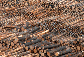 Commodity log prices soar | interest.co.nz