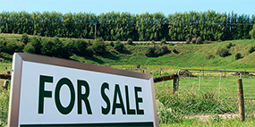 Farm sales | interest.co.nz