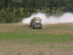 The Sheep Deer and Cattle Report | interest.co.nz