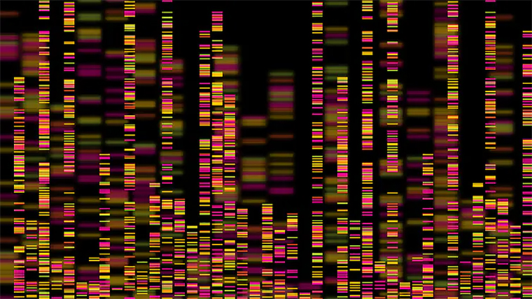 Why rapid genome testing is the key | interest.co.nz