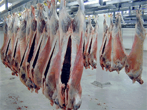 Barbers' recipe for meat industry | interest.co.nz