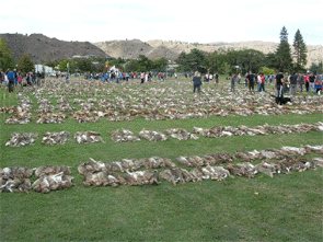 Change in tactics for rabbit control | interest.co.nz