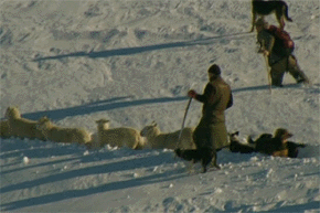 Digging out | interest.co.nz