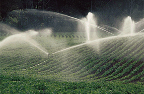 $80 mln for irrigation investment | interest.co.nz