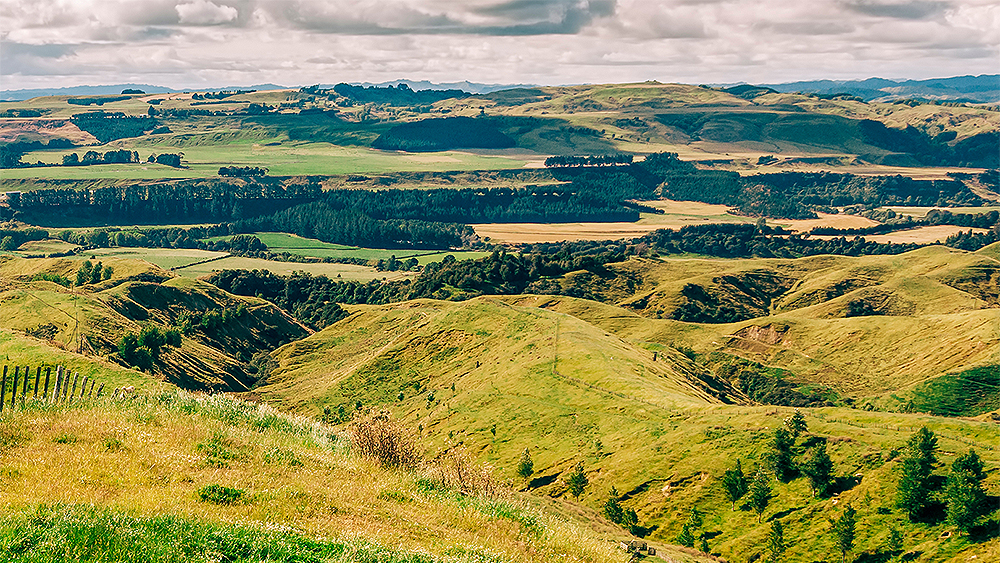 Street anger can bring change only if it is for better sustainability ...