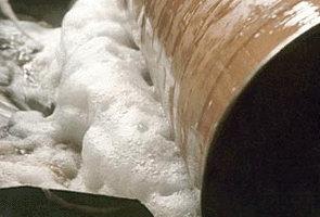 Cavalier's wool plan under attack | interest.co.nz