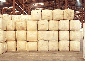 Wool features at Fieldays | interest.co.nz